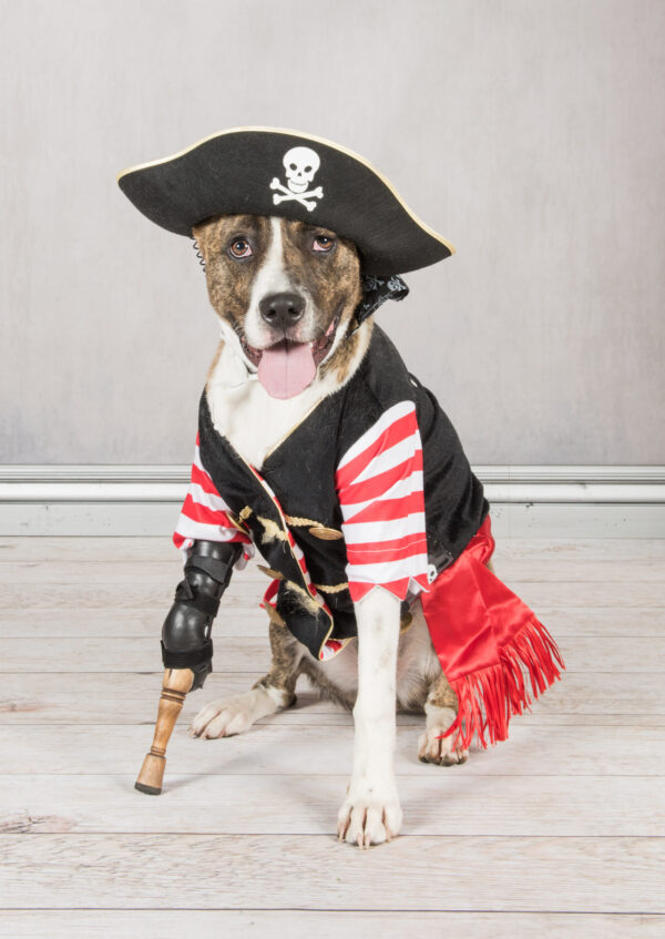 Exclusive Interview: Keating - Amplitude